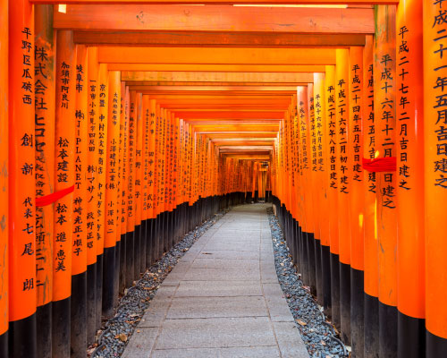 Discover Kyoto & Nara Tours | sightseeing & Experience in Kyoto | HIS ...