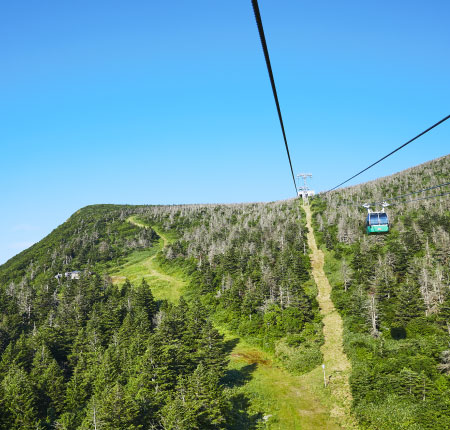 Yamagata Travel Information Site|Plenty to see and do in Yamagata|HIS JAPAN INBOUND