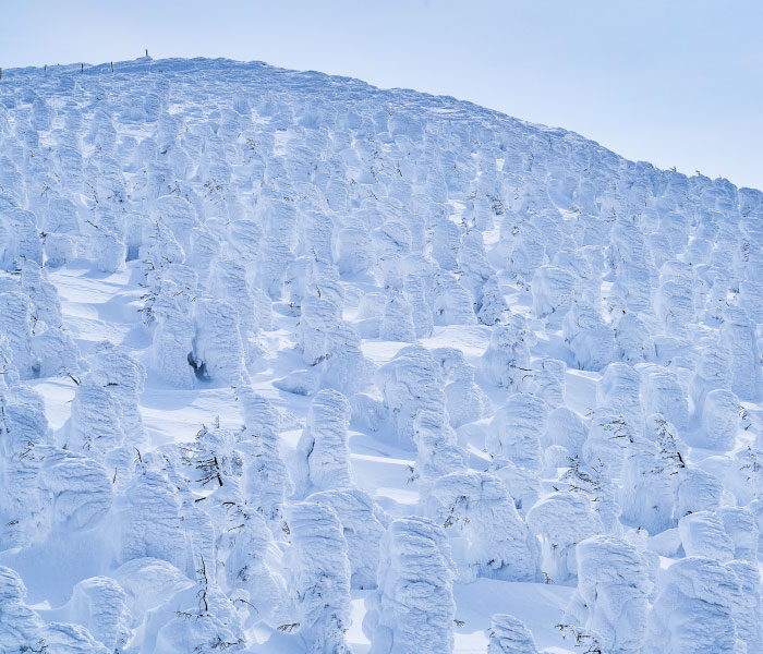 Yamagata Travel Information Site|Plenty to see and do in Yamagata|HIS JAPAN INBOUND