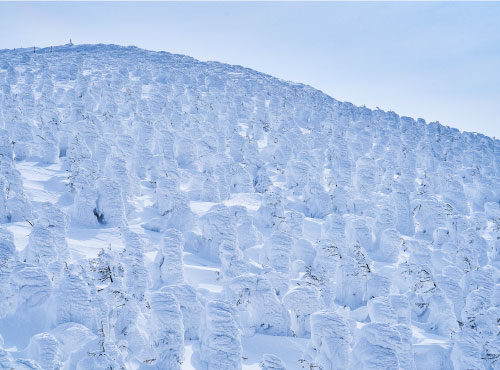 Yamagata Travel Information Site|Plenty to see and do in Yamagata|HIS JAPAN INBOUND