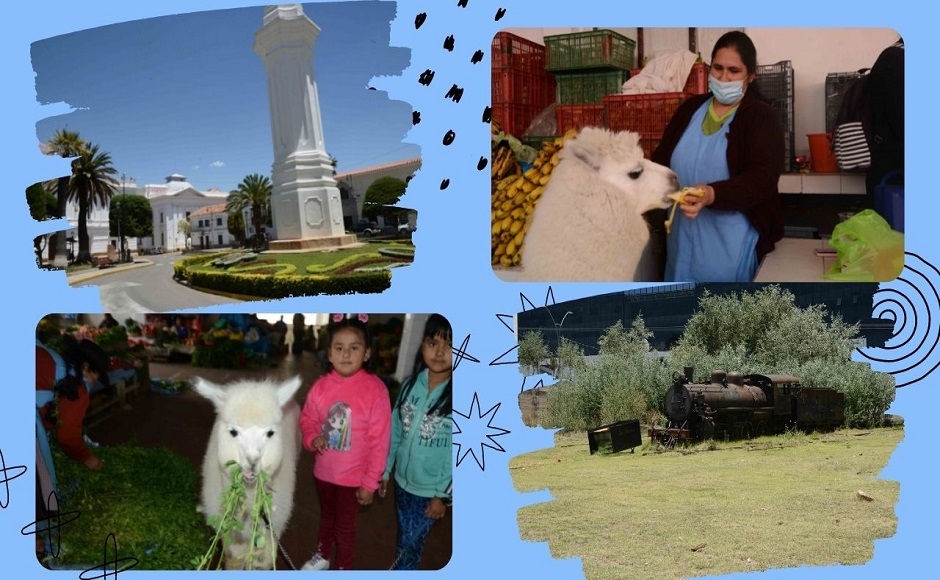 アルパカしろちゃん大冒険！ ～スクレの市場でちょっと味見させて～＆機関車にも乗っちゃう！？～ | HIS オンラインツアー