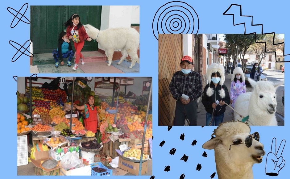 アルパカしろちゃん大冒険！ ～スクレの市場でちょっと味見させて～＆機関車にも乗っちゃう！？～ | HIS オンラインツアー