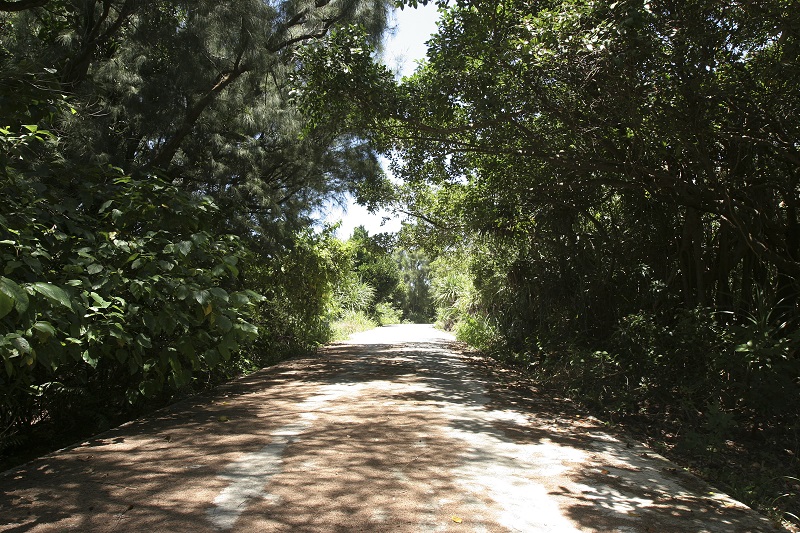 琉球神話が残る神の島！ガイドと巡る「久高島（くだかじま）」満喫ツアー～人気の厚焼きポーク玉子おにぎり付｜ H.I.S. LeaLeaOKINAWA